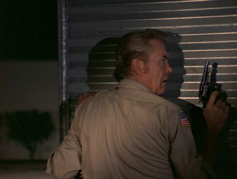 Barracuda (1978) [Cult Corner] - Wicked Horror