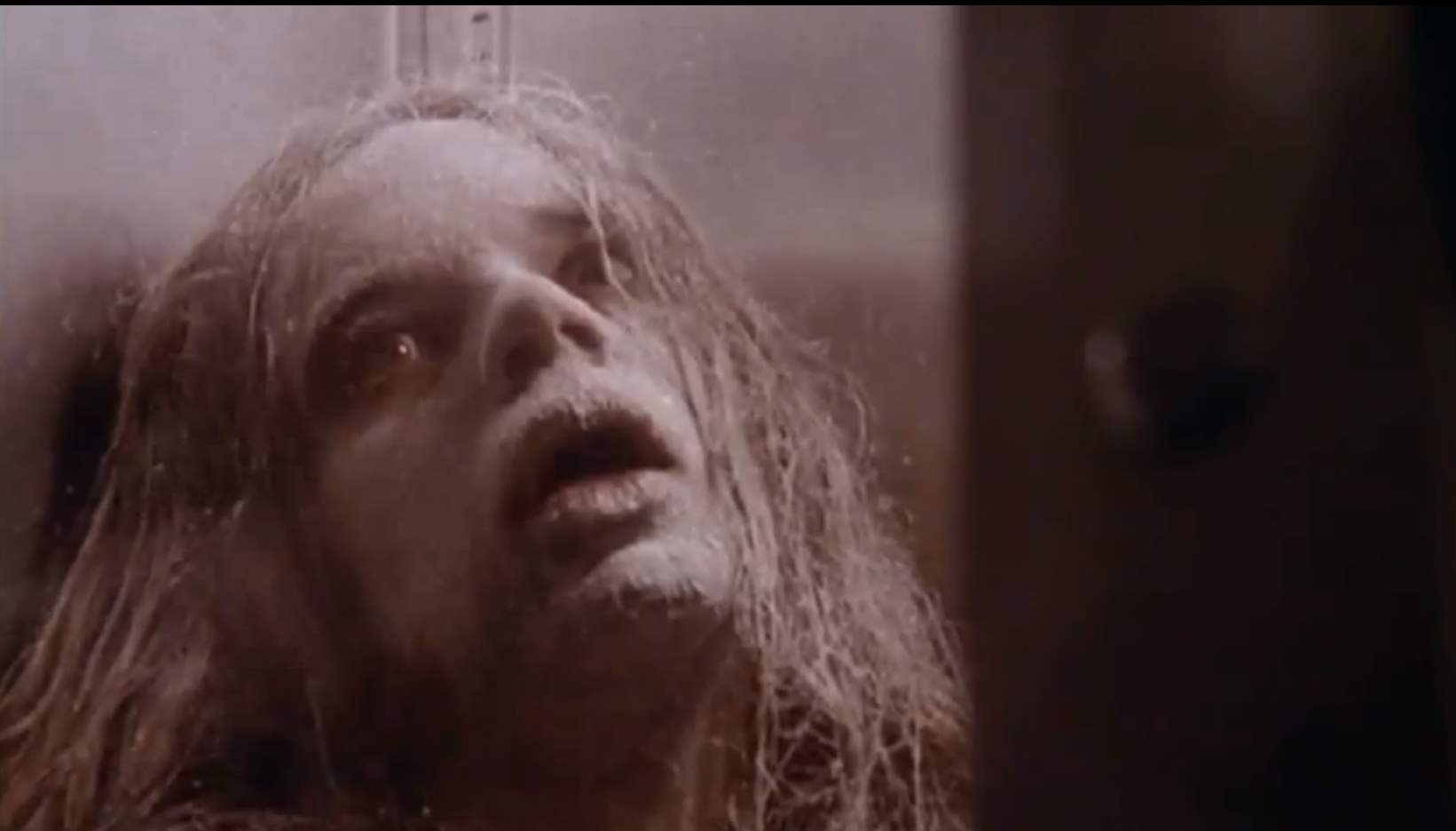 Soska Sisters Board Remake of David Cronenberg's Rabid! - Wicked Horror