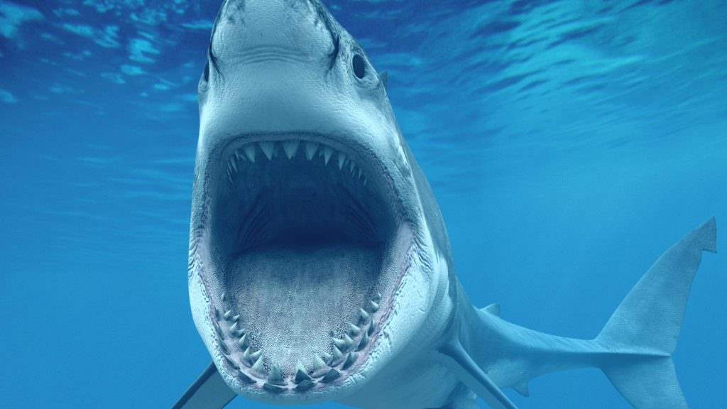 Exclusive Interview: Steve Alten on the Meg Series