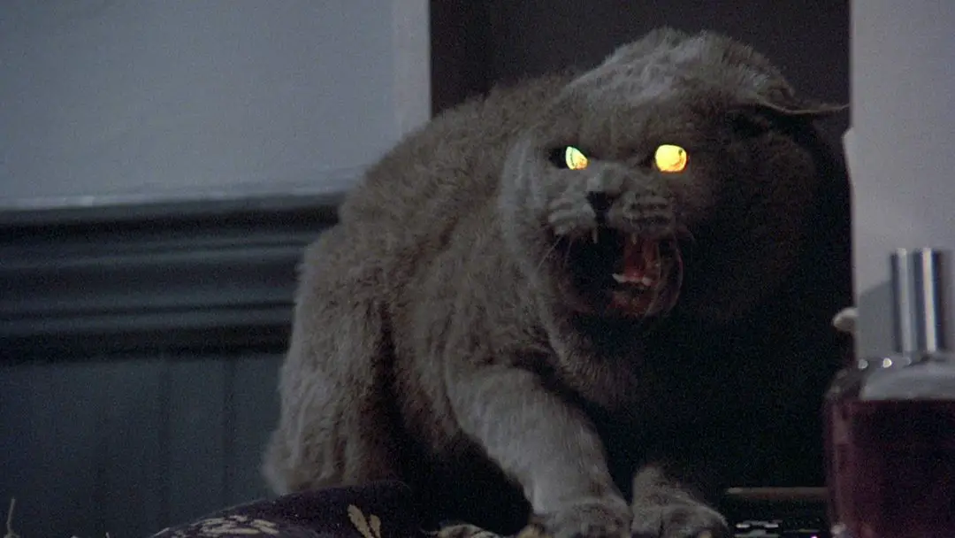 Unearthed & Untold is the Perfect Doc for Pet Sematary Fans [Review]