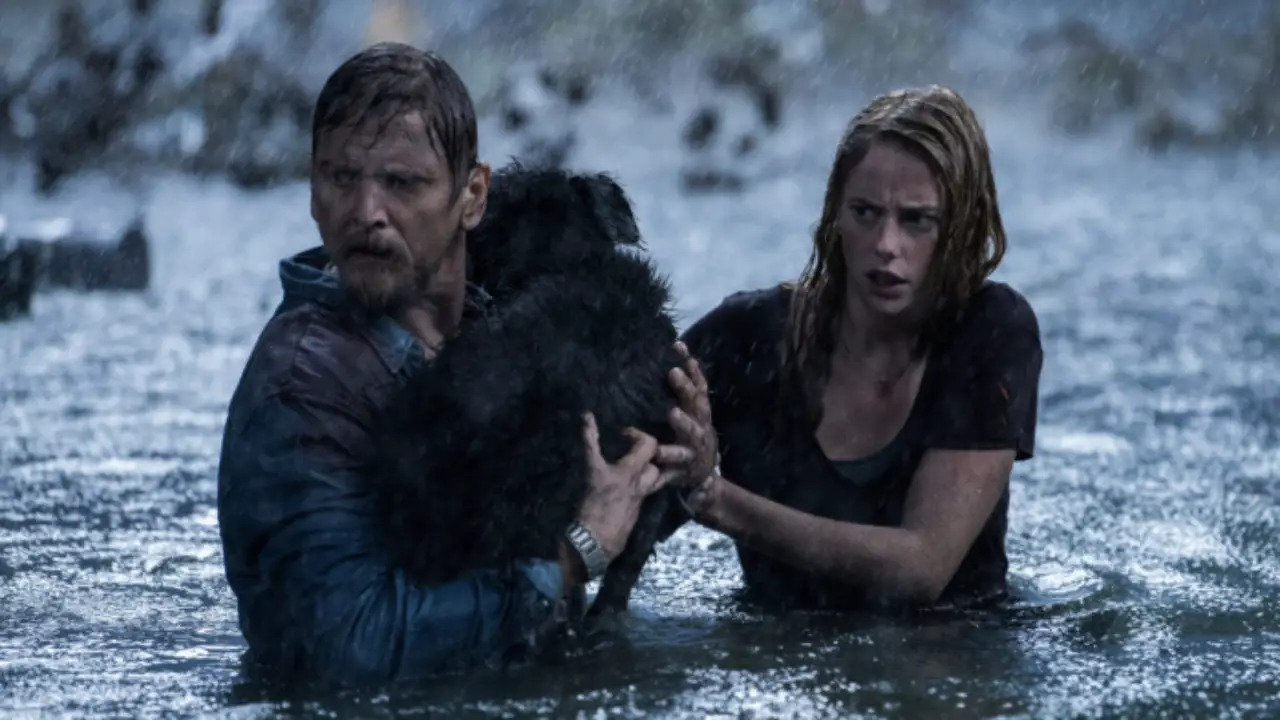 Tyler's Top Five Horror Films of 2019 - Wicked Horror